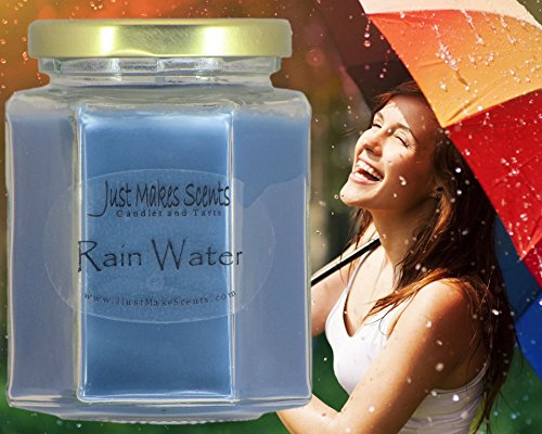 Rain Water Scented Blended Soy Candle | Clean Fresh Fragrance | Hand Poured in The USA by Just Makes Scents Candles & Gifts