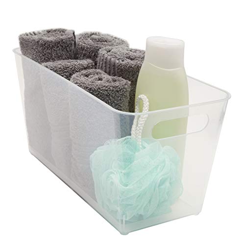 Kenney Organizer Bin with Handles, 14" x 7" x 7", Clear