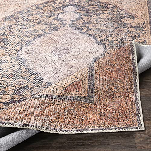 Artistic Weavers Bonita Vintage Oriental Area Rug, 2'7" x 7'10", Clay