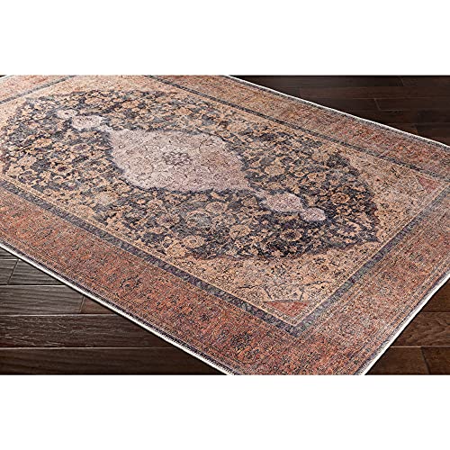 Artistic Weavers Bonita Vintage Oriental Area Rug, 2'7" x 7'10", Clay