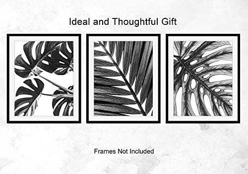 Grey Tropical Leaf Botanical Wall Art 3 Piece Print Set 8x10 Unframed Black and White Monstera and Palm Leaves for Bathroom, Bedroom Home Decor Idea
