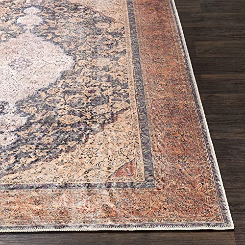Artistic Weavers Bonita Vintage Oriental Area Rug, 2'7" x 7'10", Clay
