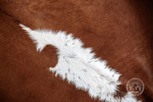 Genuine Hereford Red Brown and White Cowhide Rug Large 6 x 6-7 ft. 180 x 210 cm