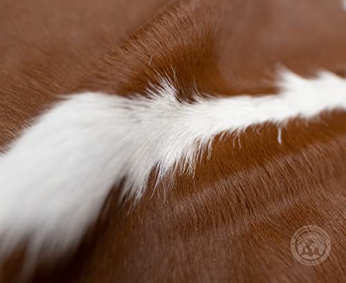 Genuine Hereford Red Brown and White Cowhide Rug Large 6 x 6-7 ft. 180 x 210 cm
