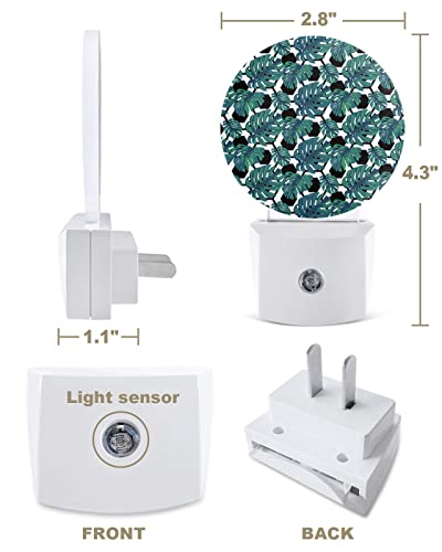 ILYBEEN Summer Monstera Tropical Leaves LED Night Lights Plug-in Nightlight with Auto Dusk to Dawn Sensor, Hexagon Texture Round Lamp for Bedroom,Hallway,Bathroom