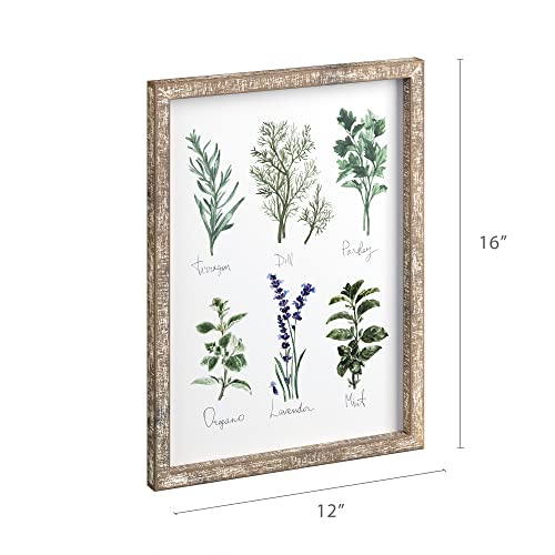 Barnyard Designs Kitchen Herbs and Spices Wall Art Decor Botanical Print Sign Rustic Country Farmhouse Wood Plaque Framed Home Wall Decor 12" x 16"