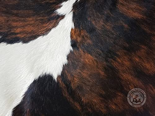Genuine Mini Cowhide Rug Tricolor Small Hair on Cow Hide 24 x 35 inches 90 x 60 cm