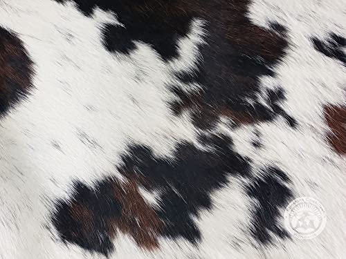 Genuine Mini Cowhide Rug Tricolor Small Hair on Cow Hide 24 x 35 inches 90 x 60 cm