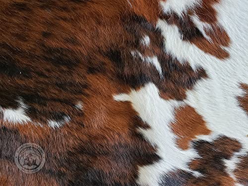 Genuine Mini Cowhide Rug Tricolor Small Hair on Cow Hide 24 x 35 inches 90 x 60 cm