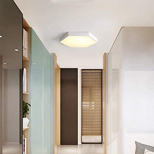DOGACA Modern Hexagon LED Ceiling Light Fixture with Remote Dimmable Flush Mount Ceiling Lamp for Hallway Stairway Hearth Kitchen Porch Entryway-White Light 40cm