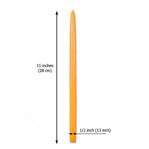 BCandle 100% Beeswax 6-Hour Candles (Set of 6) Organic Hand Made - 11 Inches Tall, 1/2 Inch Thick; Tapers