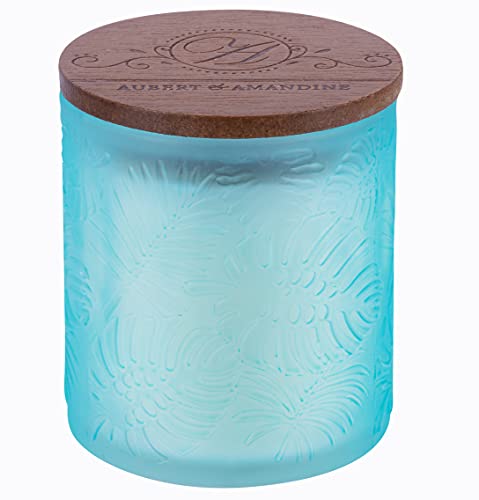 Bergamot Scented Aromatherapy Candles for Relaxation, Scented Soy Candles for Home Scented, Great Mothers Day Gifts for Women, Stress Relief Candles, Housewarming, Birthday, Anniversary