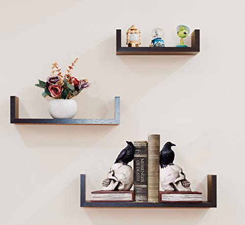 DWK - Murder and Mystery - Ravens on Skulls Bookends Gothic Poe Crow Reading Bookshelf Theme for Your Library Home Décor Book Shelf Accent 8.5 Inches in Length