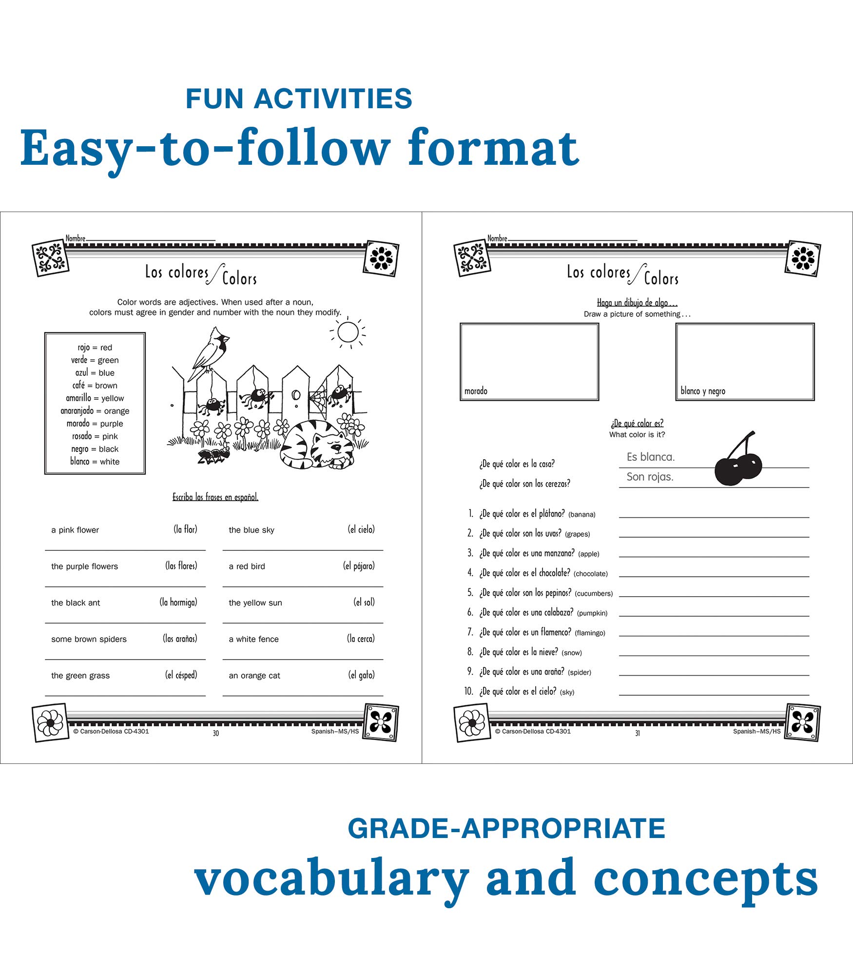 Skills for Success Spanish Workbook Grades 6-12 , Middle School and High School Vocabulary Building, Grammar Practice for Homeschool or Classroom (128 pgs)