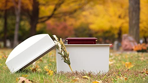 Crowne Vault Burial Urn Vault | Outer Container to Hold Adult Urn for Cremation Ashes for Ground Burial | Made in the USA (Regent, Granite Grey)