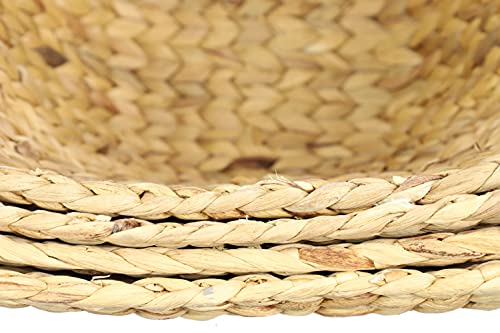 CosmoLiving by Cosmopolitan Seagrass Handmade Two Toned Storage Basket with Handles, Set of 4 17", 15", 13", 12"W, Brown