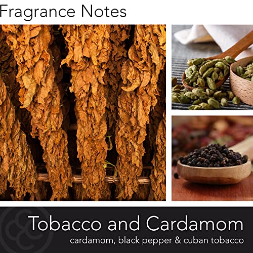 Colonial Candle Tobacco & Cardamom Scented Jar Candle, M. Baker Collection, 2 Wick, Grey, 14 oz - Up to 60 Hours Burn