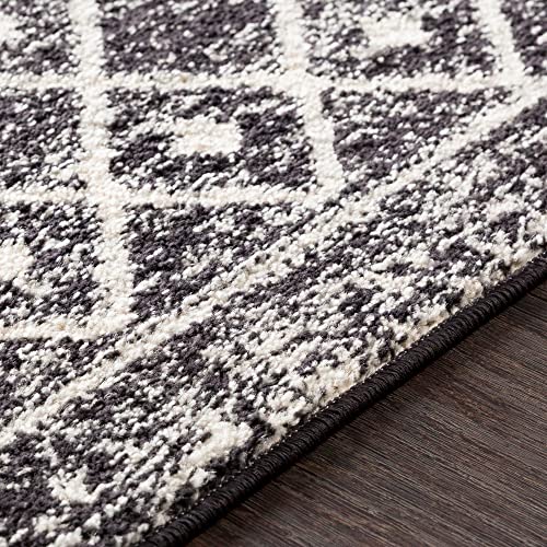 Artistic Weavers Chester Boho Moroccan Area Rug,3'11" x 5'7",Black