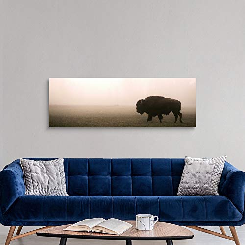 A Bison in Mist - Panoramic Canvas Wall Art Print, Wyoming Artwork