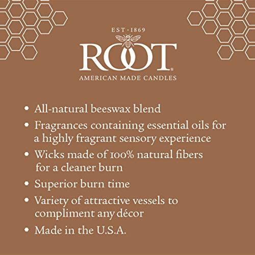 Root Candles Scented Candles Honeycomb Veriglass Premium Handcrafted Beeswax Blend Candle, Large, Japanese Cedarwood