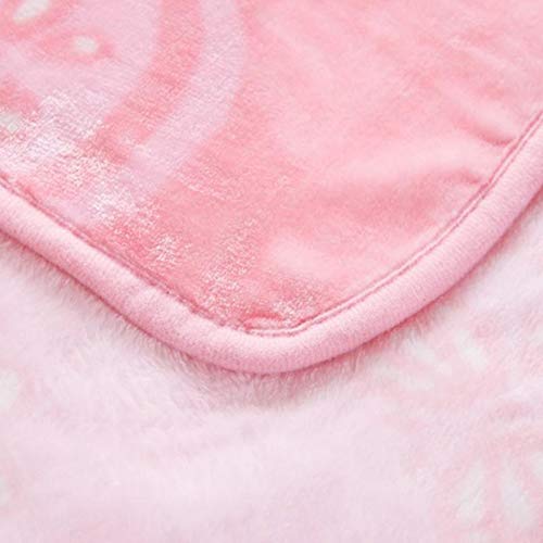HOLY HOME Pink Flowers and Butterfly Flannel Fleece Toddler Throw Blanket,39"x55" Cartoon Cat