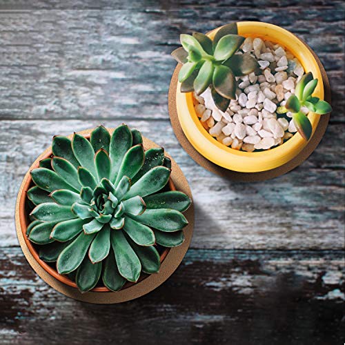 Boao 2 Packs Cork Coaster Round Cork Mat Trivet for Plant 12 Inch Soft Corkboard Mat Absorbent Planter Saucers for Kitchen Hot Pads, Pots, Pans, and Kettles and DIY Crafts Supplies