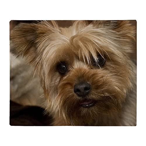 CafePress Yorkie Puppy Throw Blanket Super Soft Fleece Plush Throw Blanket, 60"x50"