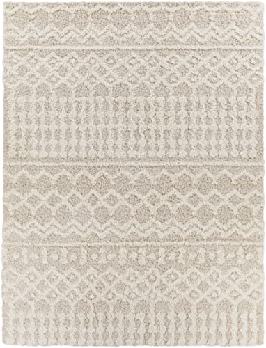 Artistic Weavers Hapsburg Moroccan Shag Area Rug, 7'10" x 10'2", Beige