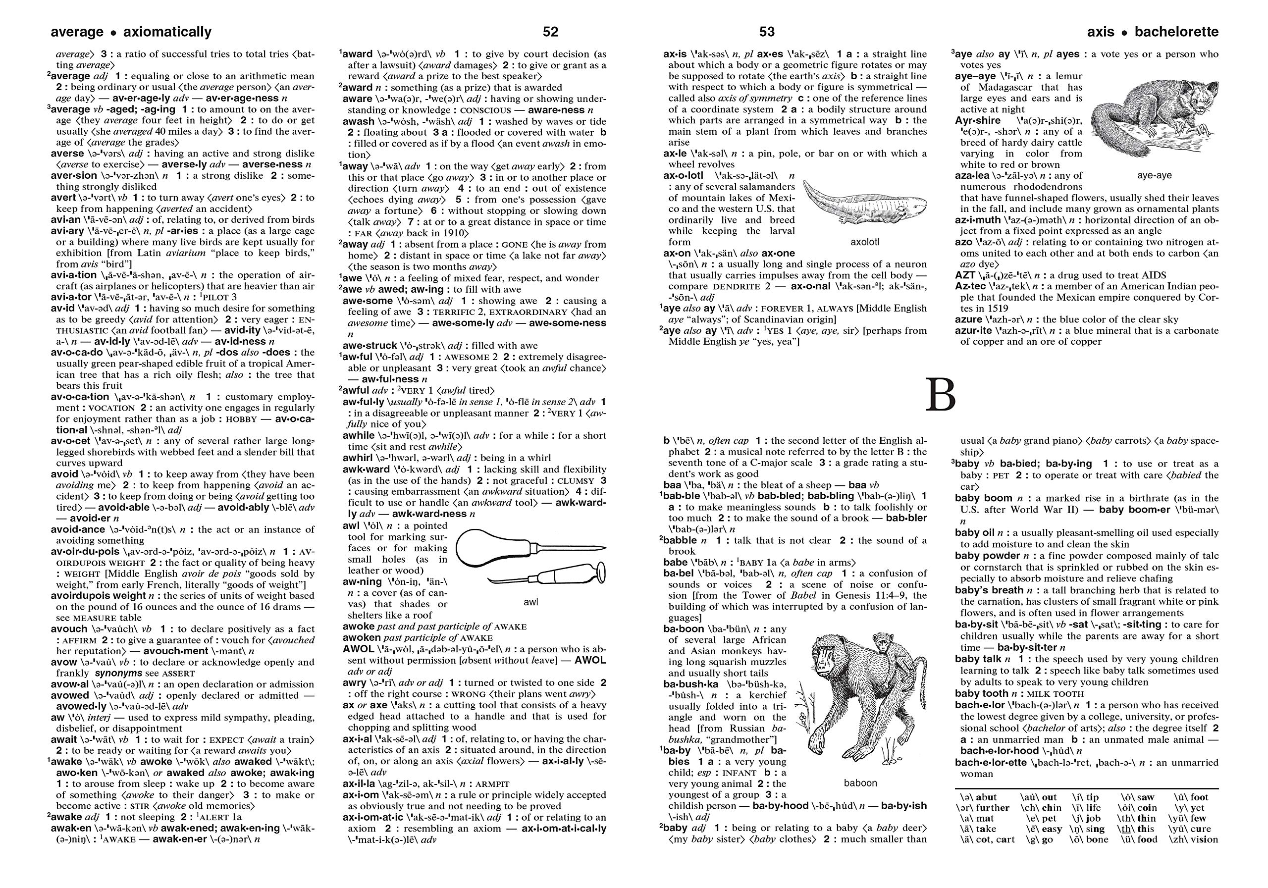 Merriam-Webster's Intermediate Dictionary, Newest Edition, (The Authoritative Middle School Dictionary)