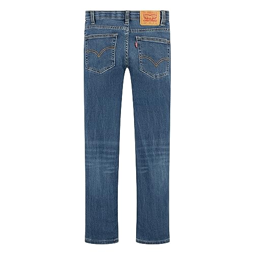 Levi's Boys' 510 Skinny Fit Destructed Jeans, Paper Shredder, 12