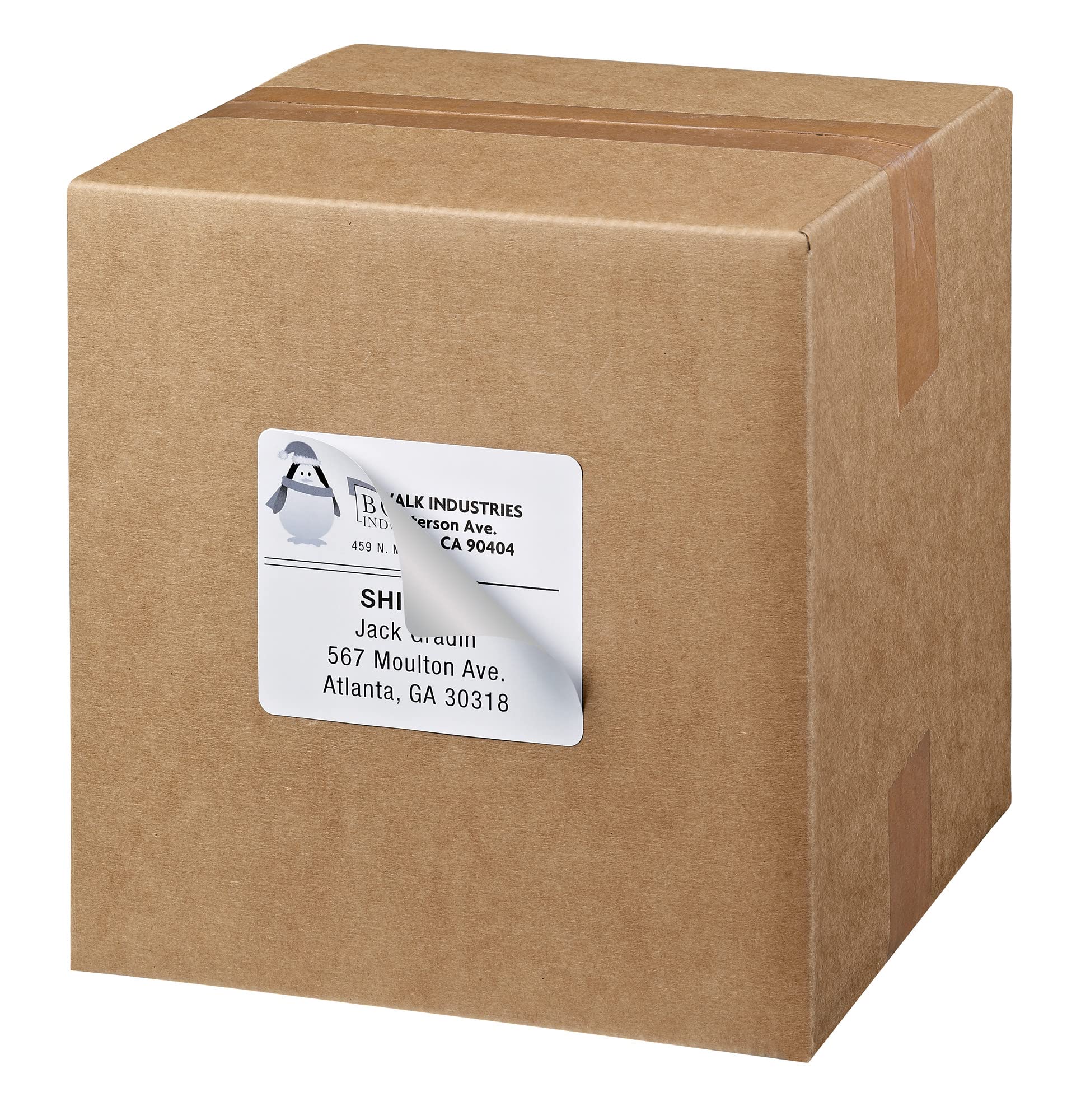 Avery Shipping Address Labels, Inkjet Printers, 150 Labels, 3-1/3x4 Labels, Permanent Adhesive, TrueBlock (8164), White