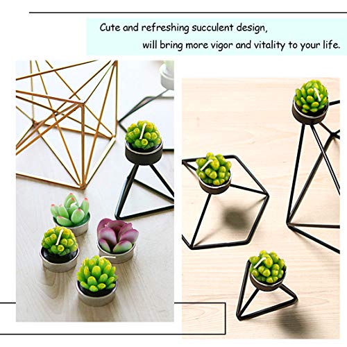 Swpeet 12Pcs Decorative Succulent Cactus Tealight Candles Kit, Cute Smokeless Succulent Plants Perfect for Candles Festival Wedding Props and House-Warming Party (N0.4-Candle)