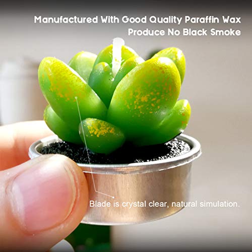 Swpeet 12Pcs Decorative Succulent Cactus Tealight Candles Kit, Cute Smokeless Succulent Plants Perfect for Candles Festival Wedding Props and House-Warming Party (N0.4-Candle)