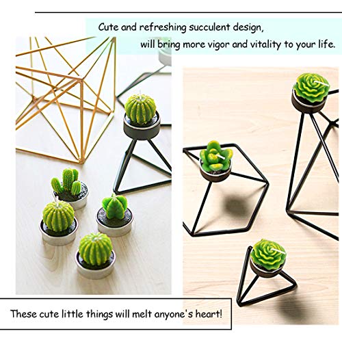 Swpeet 12Pcs Decorative Succulent Cactus Tealight Candles Kit, Cute Smokeless Succulent Plants Perfect for Candles Festival Wedding Props and House-Warming Party