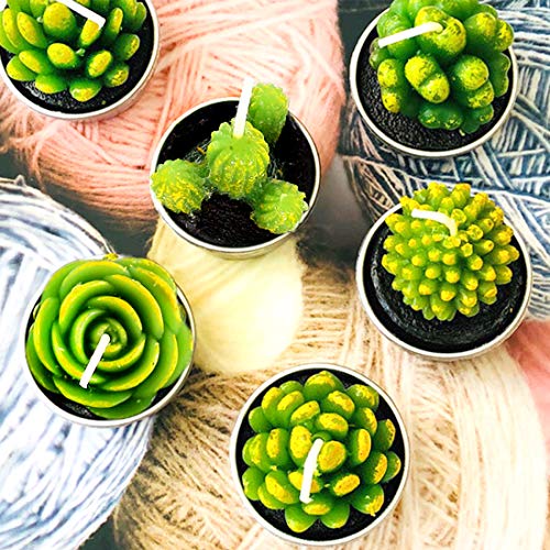 Swpeet 12Pcs Decorative Succulent Cactus Tealight Candles Kit, Cute Smokeless Succulent Plants Perfect for Candles Festival Wedding Props and House-Warming Party