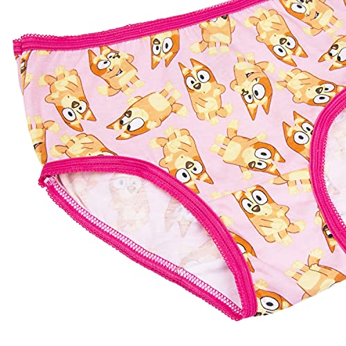 Bluey girls Underwear Multipack Briefs, Bluey10pk, 2-3T US