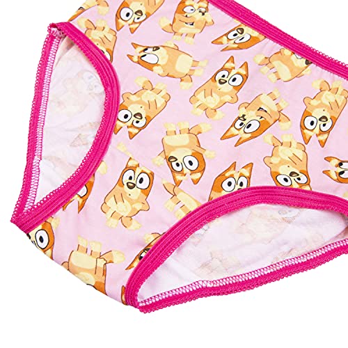 Bluey girls Underwear Multipack Briefs, Bluey10pk, 2-3T US