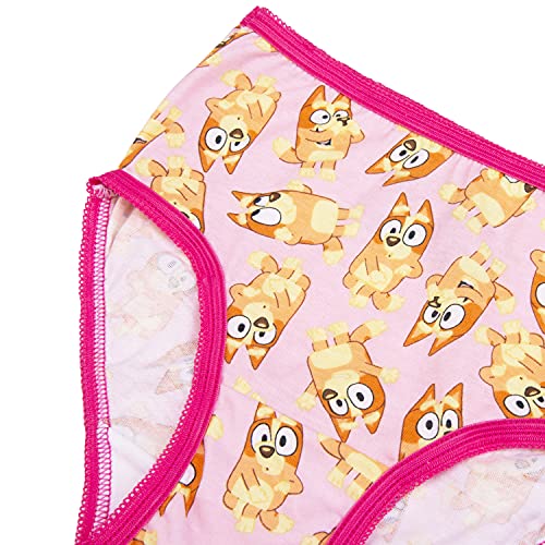 Bluey girls Underwear Multipack Briefs, Bluey10pk, 2-3T US