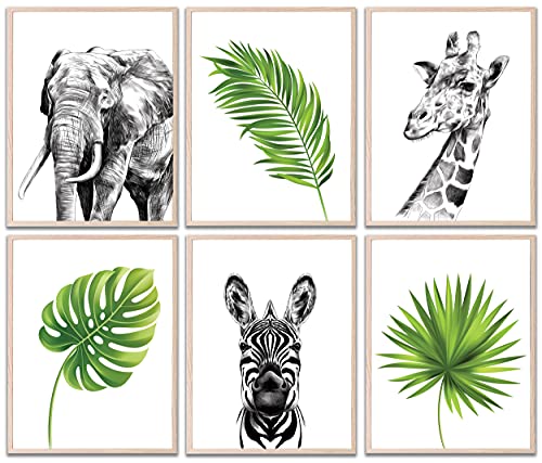 Safari Nursery Decor, Baby Safari Nursery Decor, Nursery Wall Decor, Nursery Safari Decor Nursery, Baby Decor, Jungle Decor, Nursery Wall Art, Baby Wall Decor, Jungle Nursery Decor Set of 6, 8"X10"