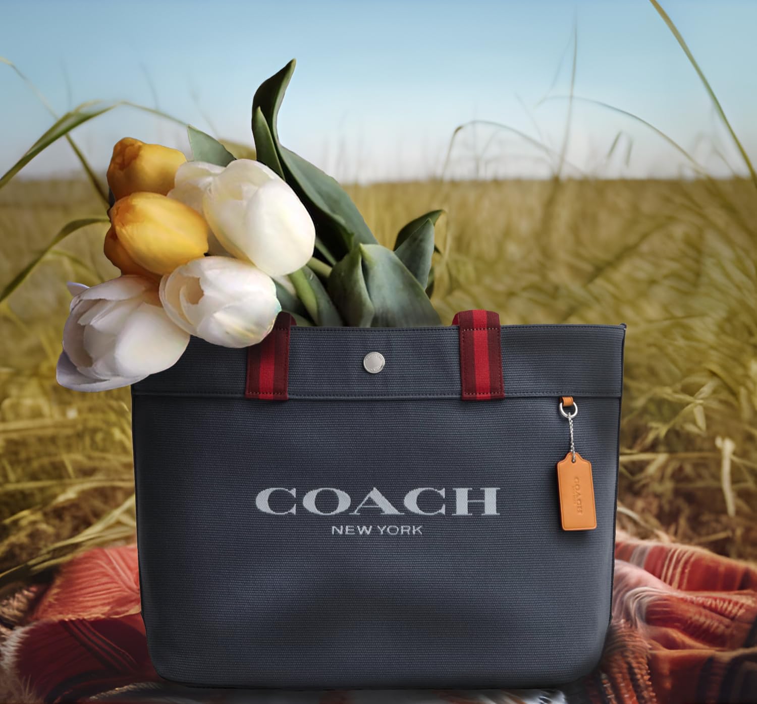 COACH Canvas Tote, Denim Multi