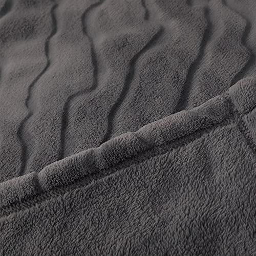 Cozy Bliss Milk Throw Blanket for Couch, Bed Fleece Blanket Twin Size Ultra Soft & Lightweight Plush Sofa Grey Throw Blanket,60"x80"