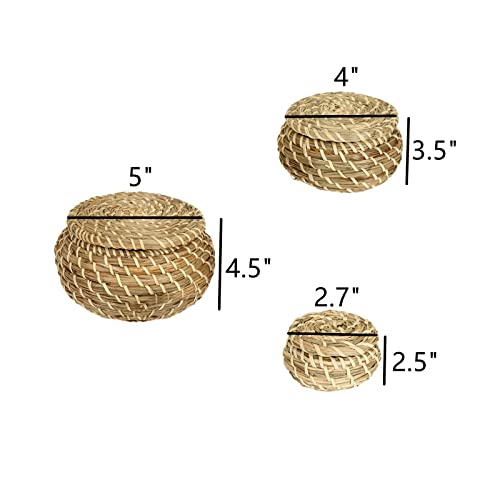 Dicunoy Set of 3 Small Wicker Basket with Lid, Round Woven Seagrass Baskets, Little Handmade Rattan Storage Basket Box for Shelf, Home, Bathroom Decor
