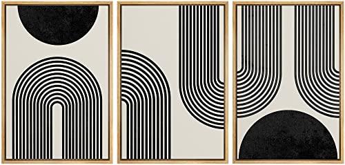 SIGNLEADER Framed Canvas Print Wall Art Spiral Parabolas & Solid Semi Circle Geometric Shapes Drawings Modern Art Contemporary Edgy Black and White for Living Room, Bedroom, Office - 16"x24"x3 Natural