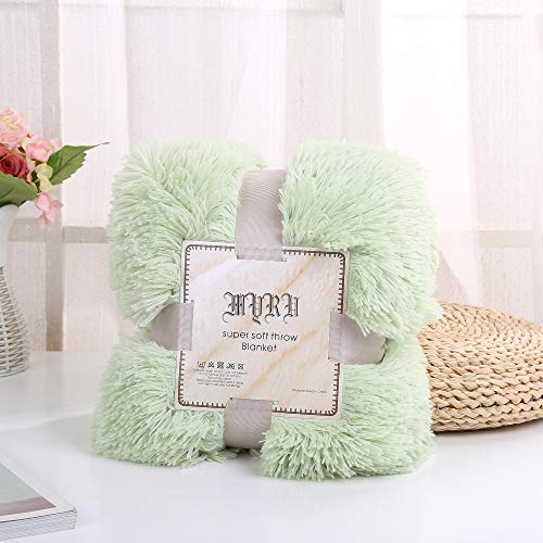 Plush Super Soft Blanket Bedding Sofa Cover Furry Fuzzy Fur Warm Throw Qulit Cozy Couch Blanket for Winter (63"x79", Green)