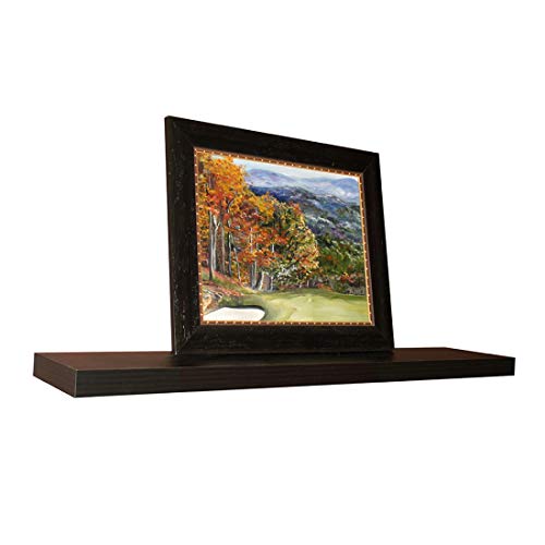 InPlace Shelving, Espresso Lewis Hyman 9084650 Floating Wall Shelf, 48 Inch Wide by 2-Inch High, 48 in W x 10.2 in D x 2 in H