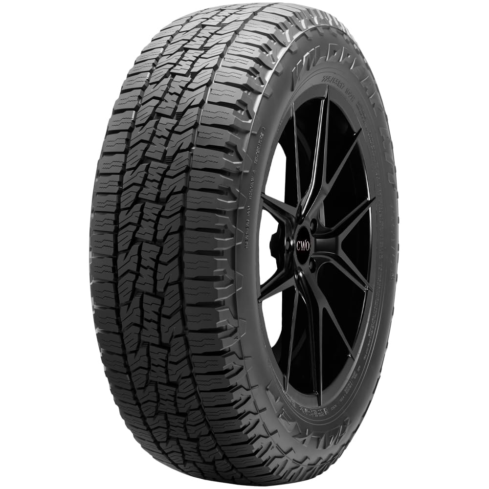 NEXEN SB802 All-Season Radial Tire - 165/80R15 87T