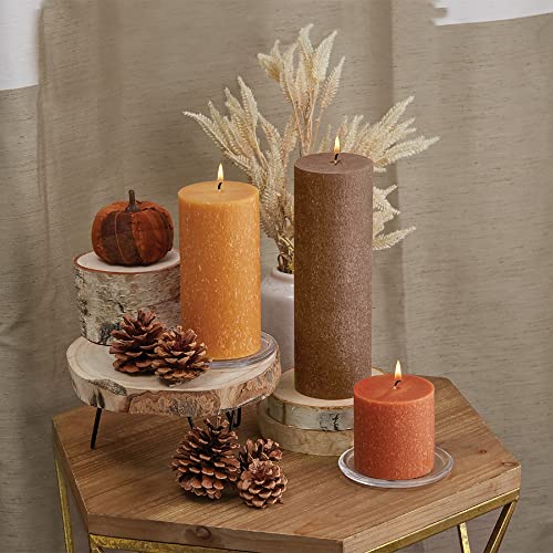 Root Candles Beeswax Blend Timberline Unscented Pillar Candle, 3 x 6-Inch, Butterscotch