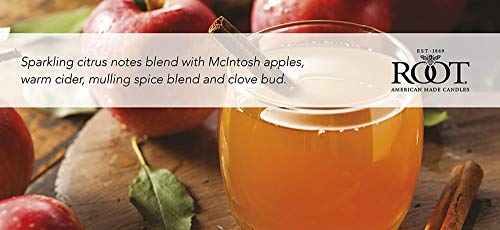Root Candles 20-Hour Scented Beeswax Blend Votive Candles, 3-Count, Mulled Cider