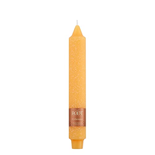 Root Candles Unscented Timberline Collenette 9-Inch Dinner Candles, Box of 4, Butterscotch