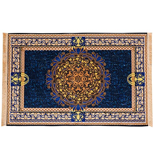ANswet Area Rug Modern Flannel Non-Slip Floor Mat Living Room Bedroom Tassels Carpet Home Decor Rectangle 4 * 6 Feet Blue